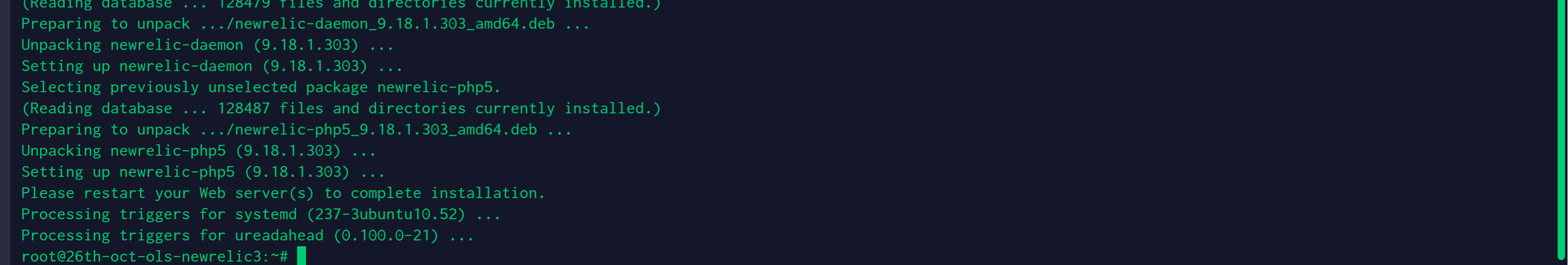 Installing and Configuring New Relic for WordPress | GridPane
